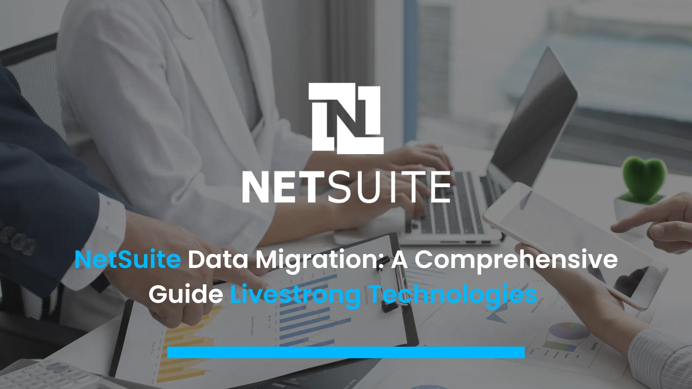NetSuite Data Migration Services - LST Consultancy