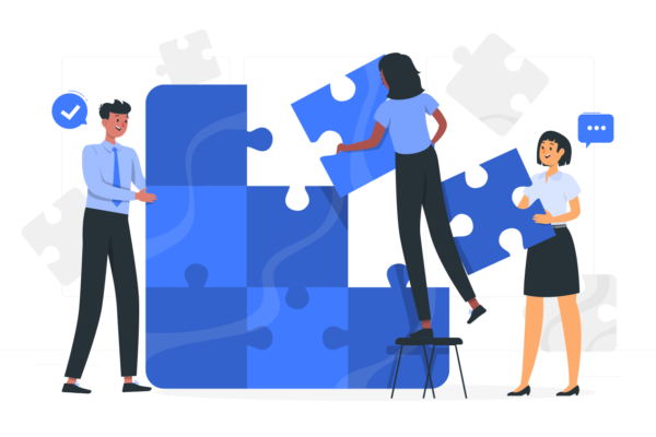 Salesforce Integration - LST Consultancy